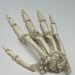 Gorilla Hand Skeletal Semi Articulated Replica - Etsy