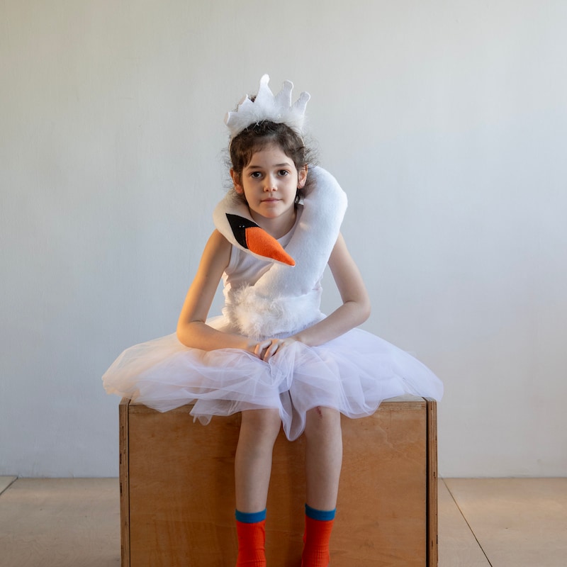 Swan Lake Outfits - Etsy