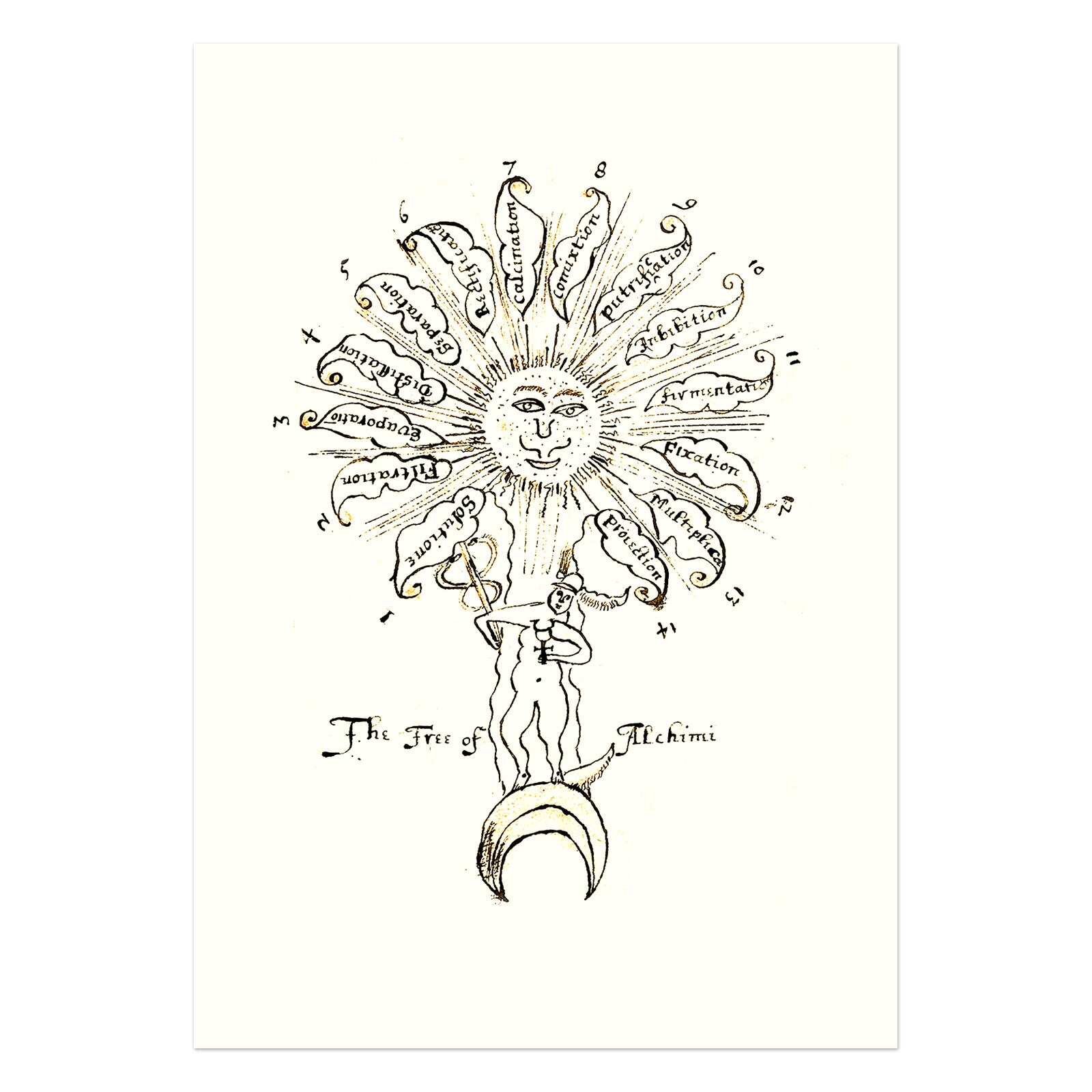 Tree of Alchimi From the Key of Alchemy by Samuel Norton - Etsy