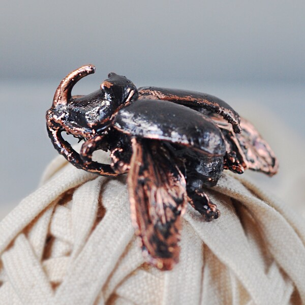 Electroplated Insect - Etsy