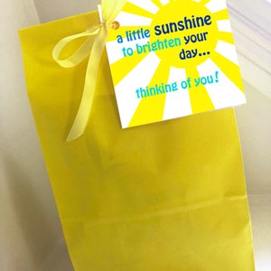 Printable Gift Tag for SUNSHINE GIFT / a Little Sunshine to Brighten ...