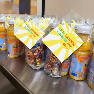 Printable SUNSHINE Gift Tag / Appreciation Gift / Friend Gift - Etsy