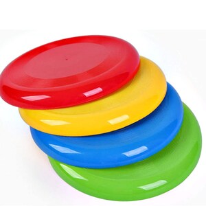 End of Year Student Gift / Frisbee Gift Tag / Frisbee Sticker - Etsy