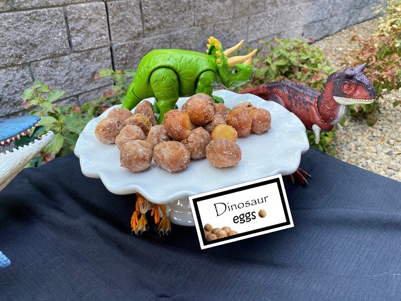 Printable Dinosaur FOOD LABELS for Dinosaur Birthday Party - Etsy