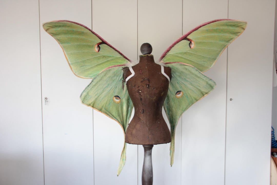 Handmade Green Moon Moth Fairywings for Fantasy Costume, Large Size ...