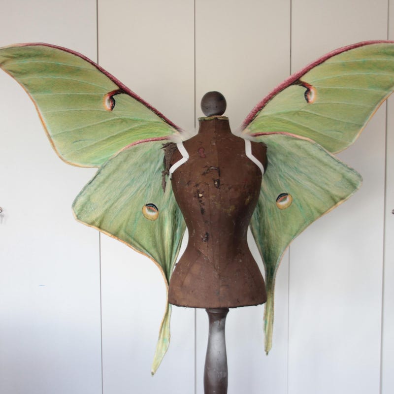 Moth Costume - Etsy