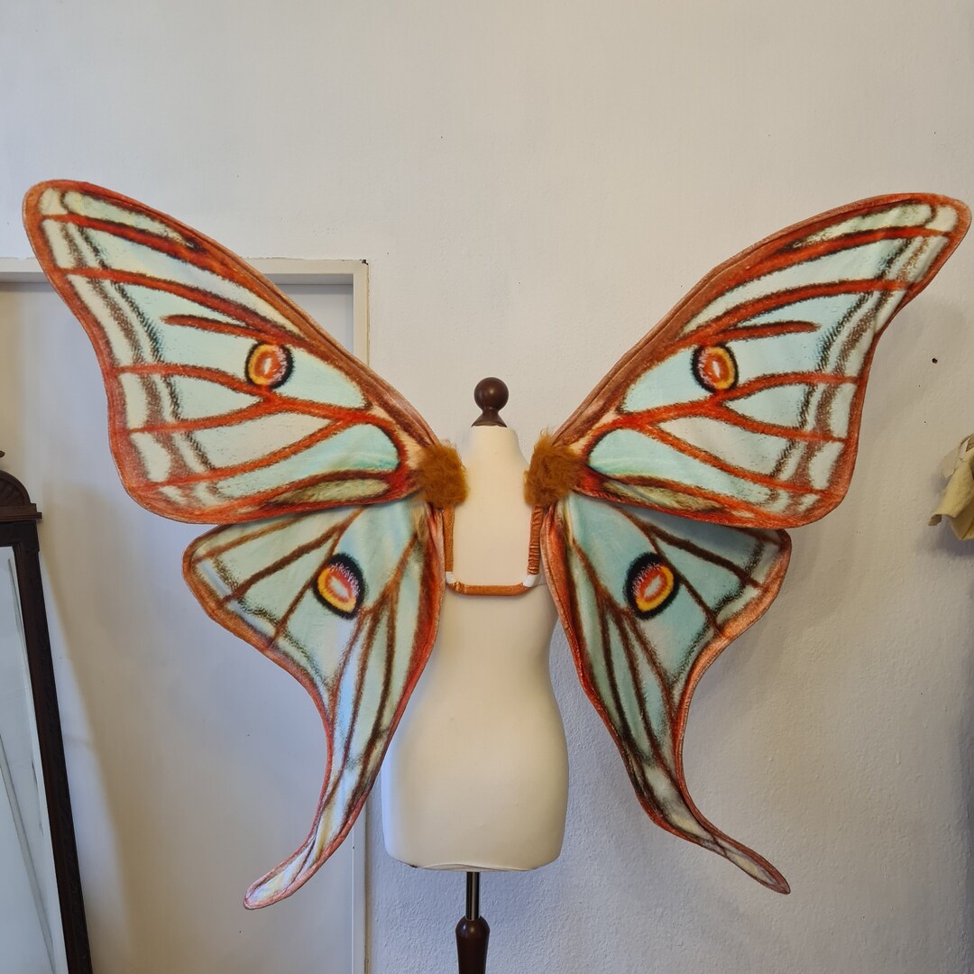 Handmade Green, Spanish Moon Moth Fairywings for Fantasy Costume, Large ...