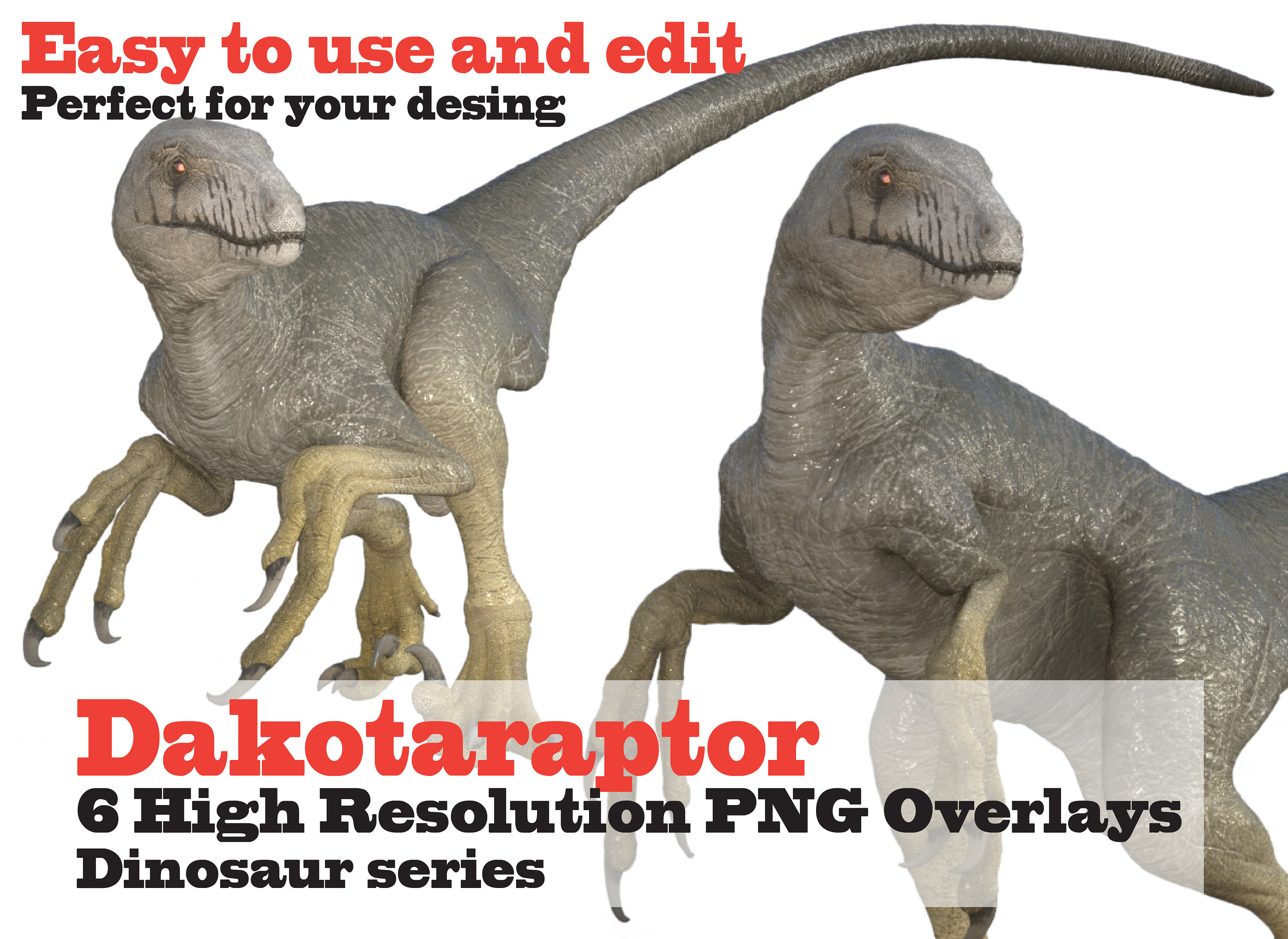 Dakoraptor Jurassic World Clipart, 6 Dinosaurs PNG File, Jurassic ...