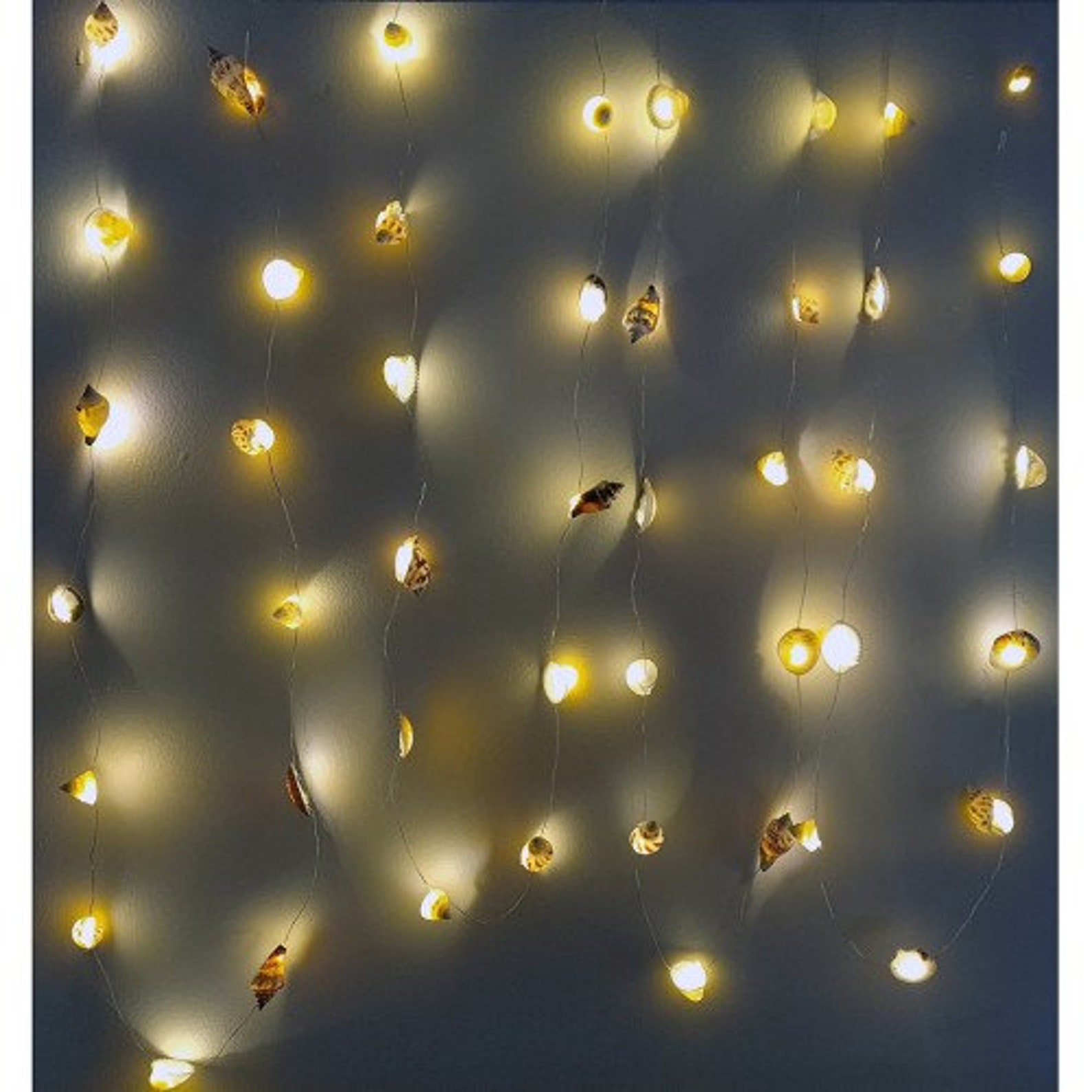 LED String Sea Shell Light (10 Feet/3 Meters) - Etsy