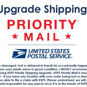 Priority Mail Shipping Upgrade! Get Your Order Faster With This Upgrade ...