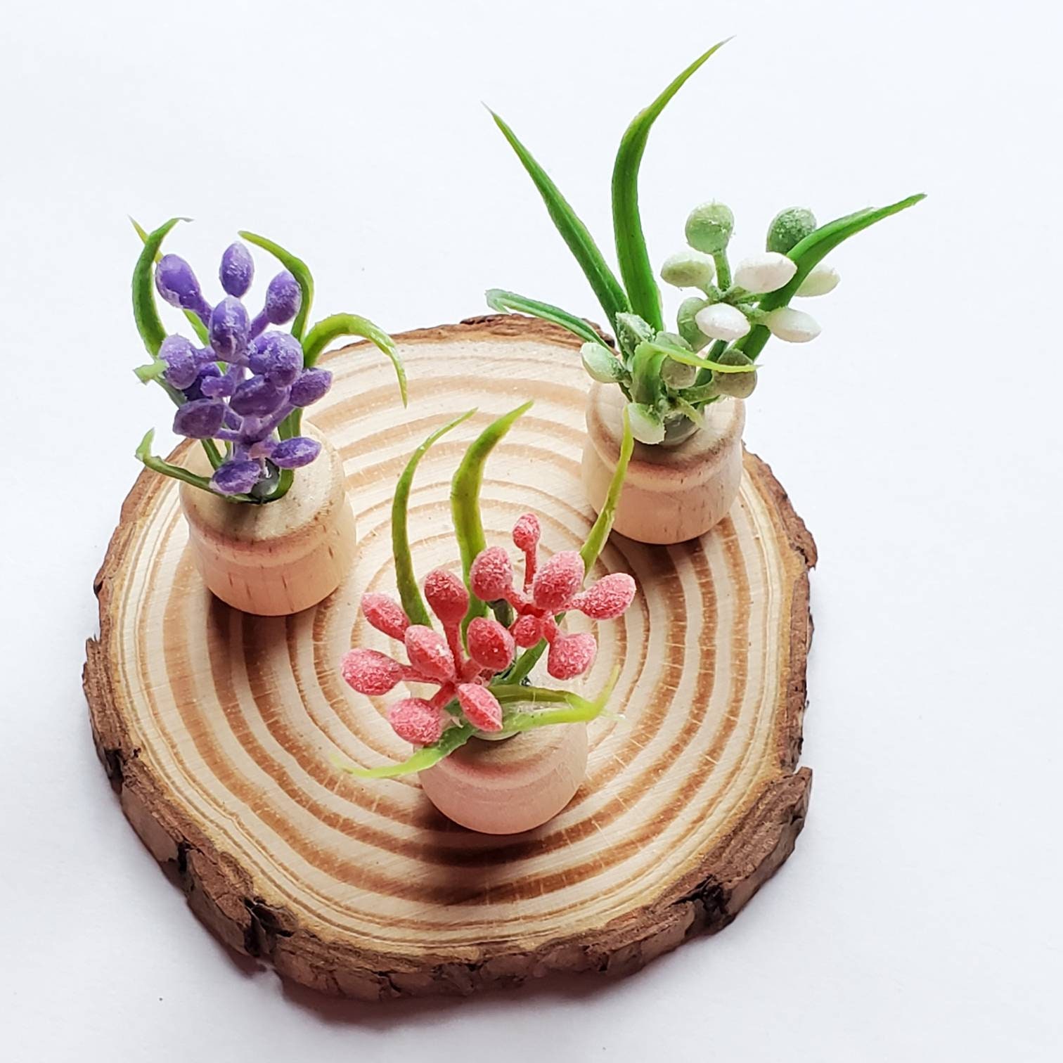 Dollhouse Potted Miniature Flower Planter Garden Modern décor | Etsy