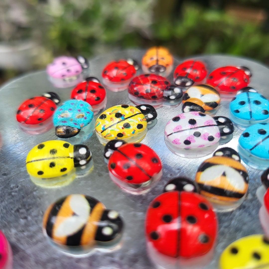 B1G1 FREE Plant Magnet Refrigerator Magnets PLANT Magnets Set of 3/5 ...