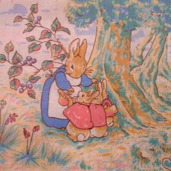Beatrix Potter Prints - Etsy