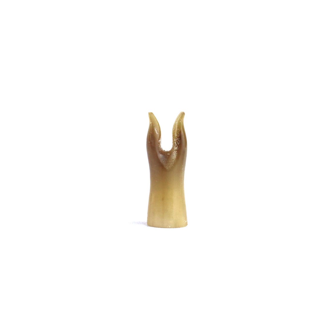 Vermil Natural U-nocks – Premium Arrow Nocks for Traditional ...