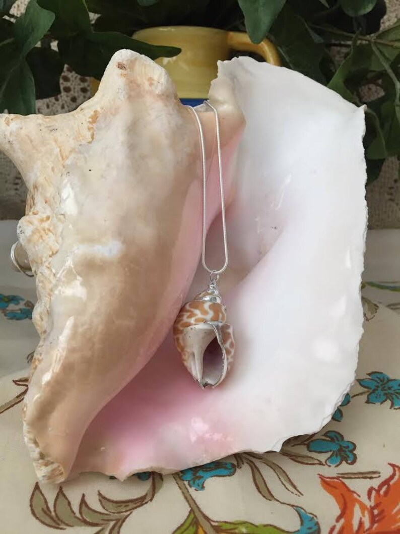 Natural Seashell Pendant, 18K White Gold Plated on 22 Sterling Silver ...