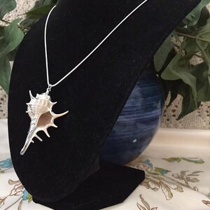 Natural Sea Shell Pendant 18K White Gold Plated on a Solid Sterling ...
