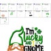 I'm Lucky and I Gnome It, Applique Design, Instant Download, 4x4, 5x5 ...