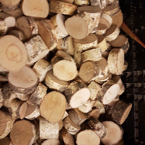 Tree Branch Slices - Etsy UK