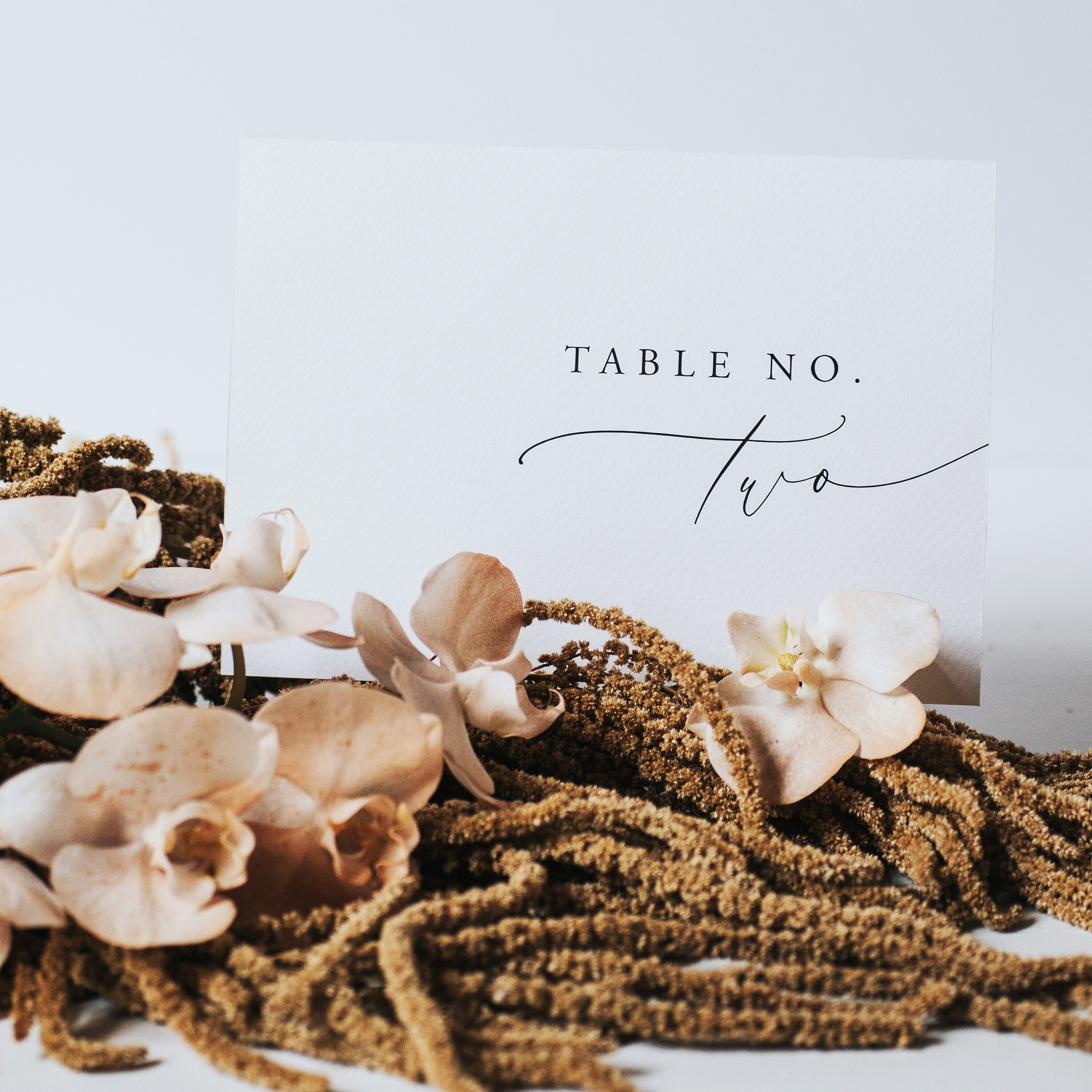 Table Numbers Ideas Wedding Reception Romantic Wedding Table - Etsy UK