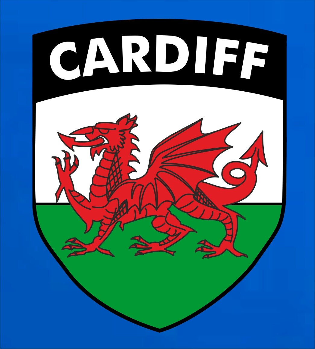 Cardiff City FC Football Club Retro Style Football Soccer T-shirt All ...