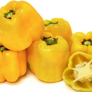 200 Seeds Sweet Sunbright Pepper Seeds Sweet Pepper - Etsy