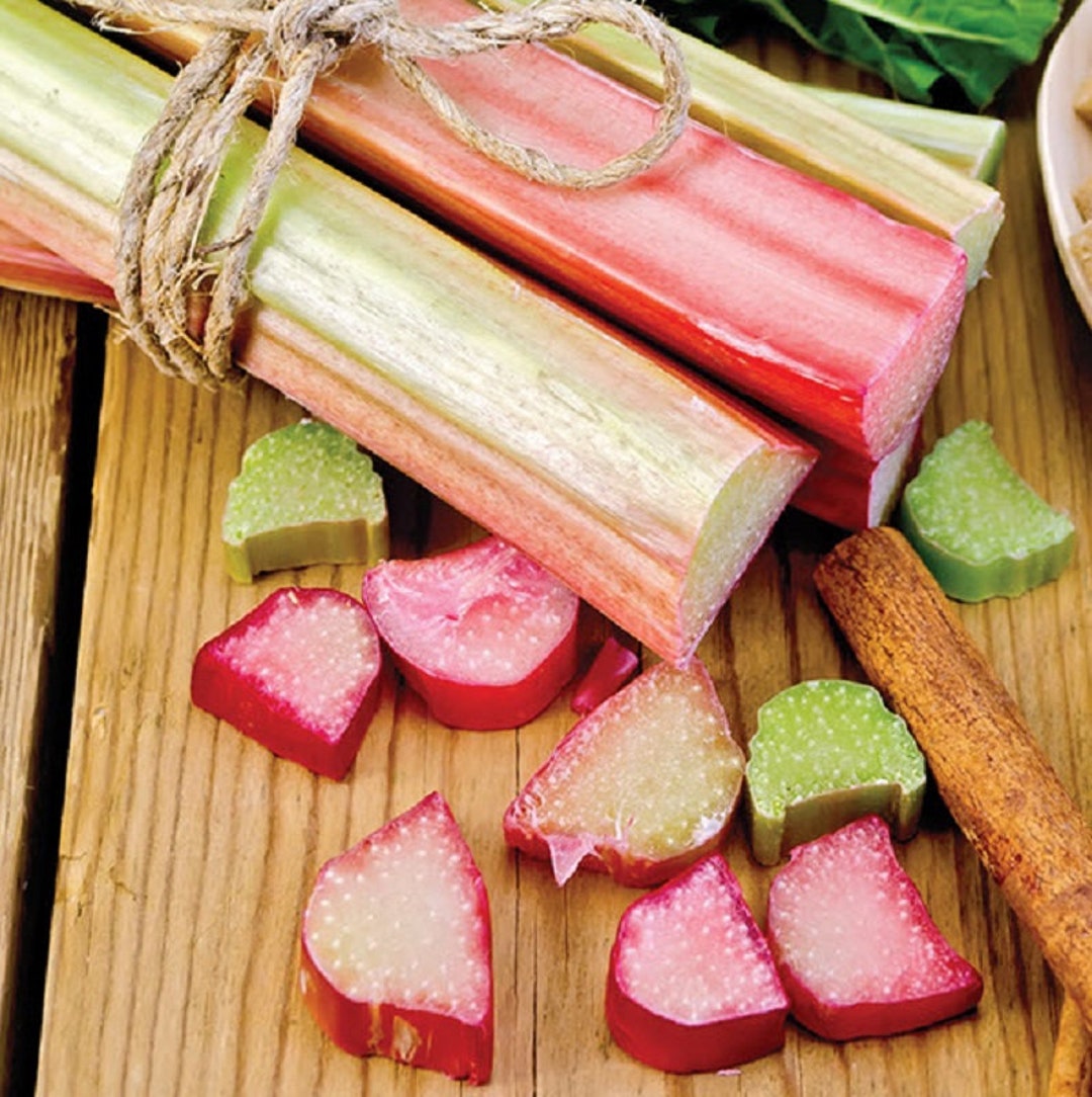 50 Victoria Rhubarb Seeds Perennial Seeds - Etsy