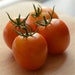 Heirloom Tomato Seeds 25 Seeds Tomato Marriage Perfect Flame - Etsy