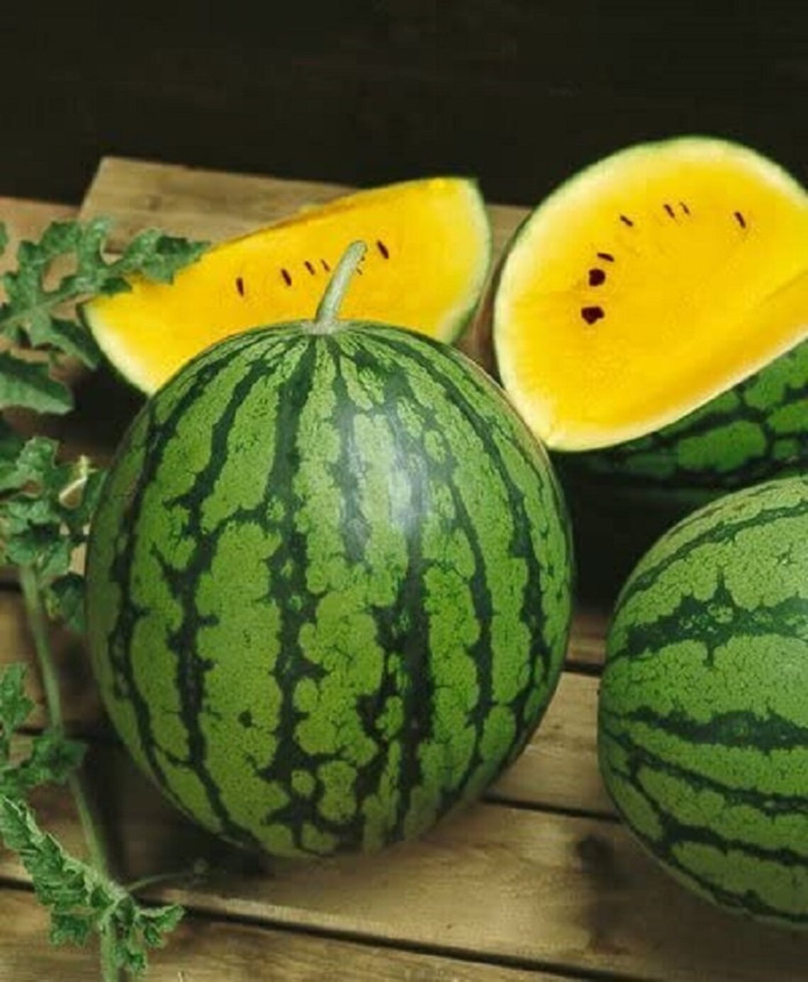Watermelon Seeds 25 Thru 100 Seeds Watermelon Baby Doll F1 - Etsy