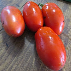MPB#6 Tomato Seeds La Roma III Hybrid Tomato Seeds 25 to 500 Seeds - Etsy