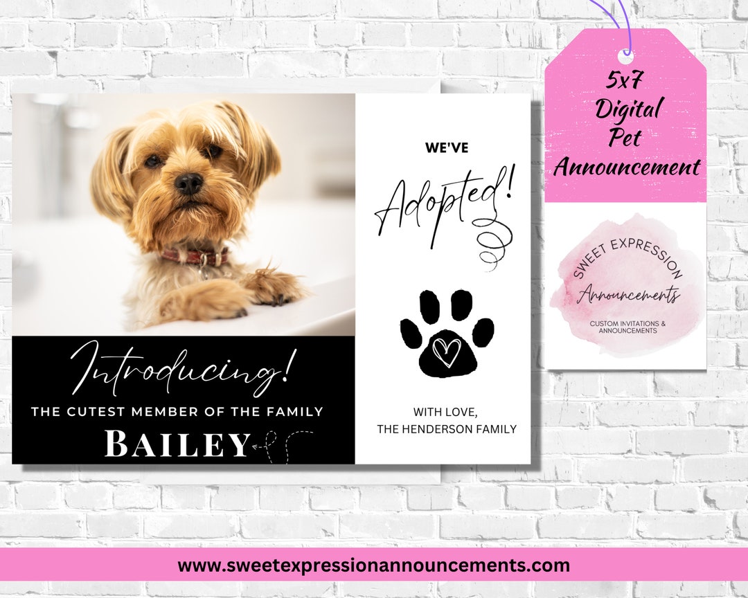 New Pet Announcement, New Dog, New Cat, Pet Photo Announcement, New Pet ...