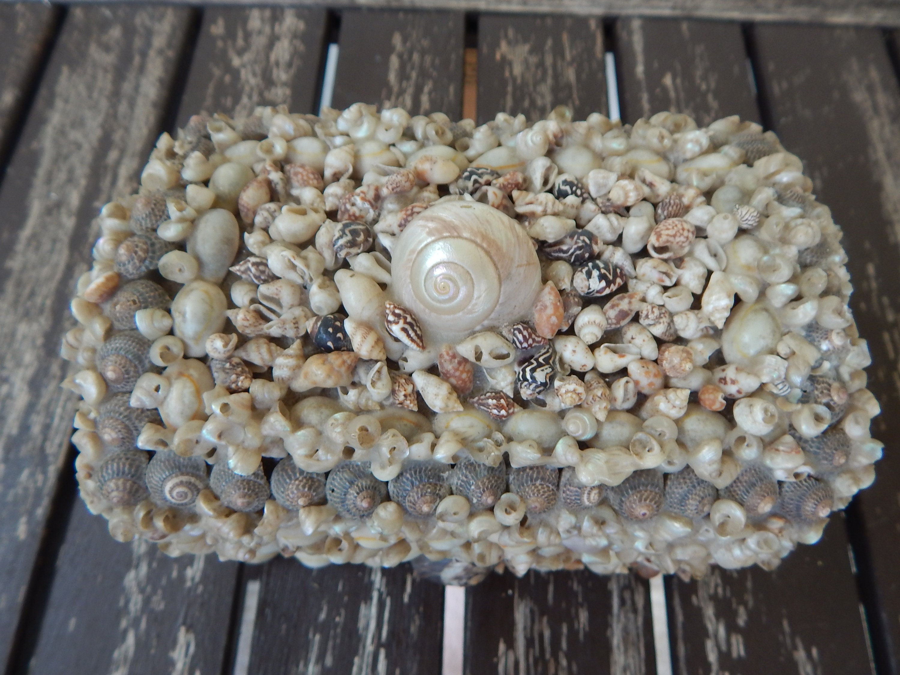 Antique Early 1900's Victorian Handmade Sea Shell Box - Etsy