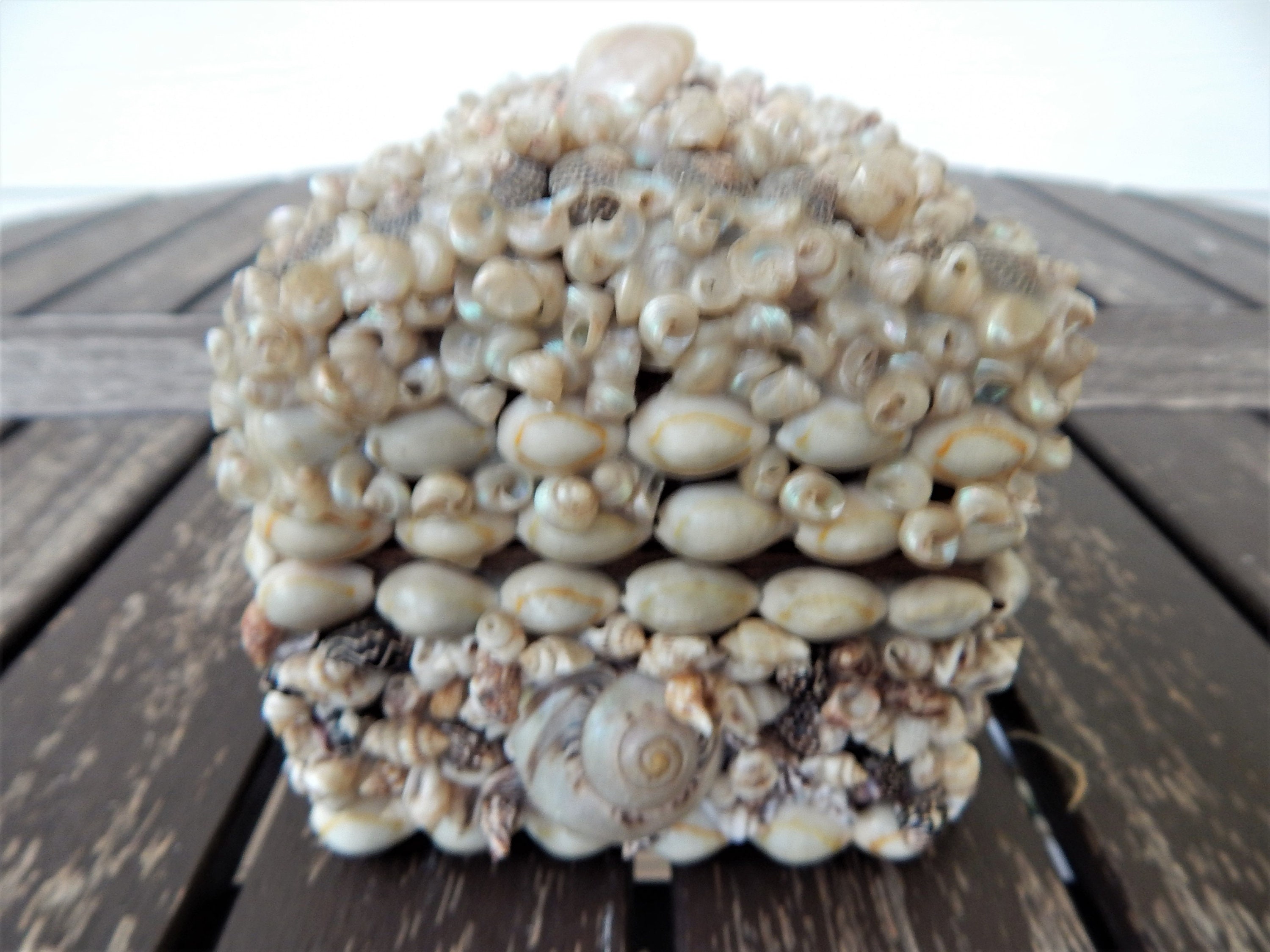 Antique Early 1900's Victorian Handmade Sea Shell Box - Etsy