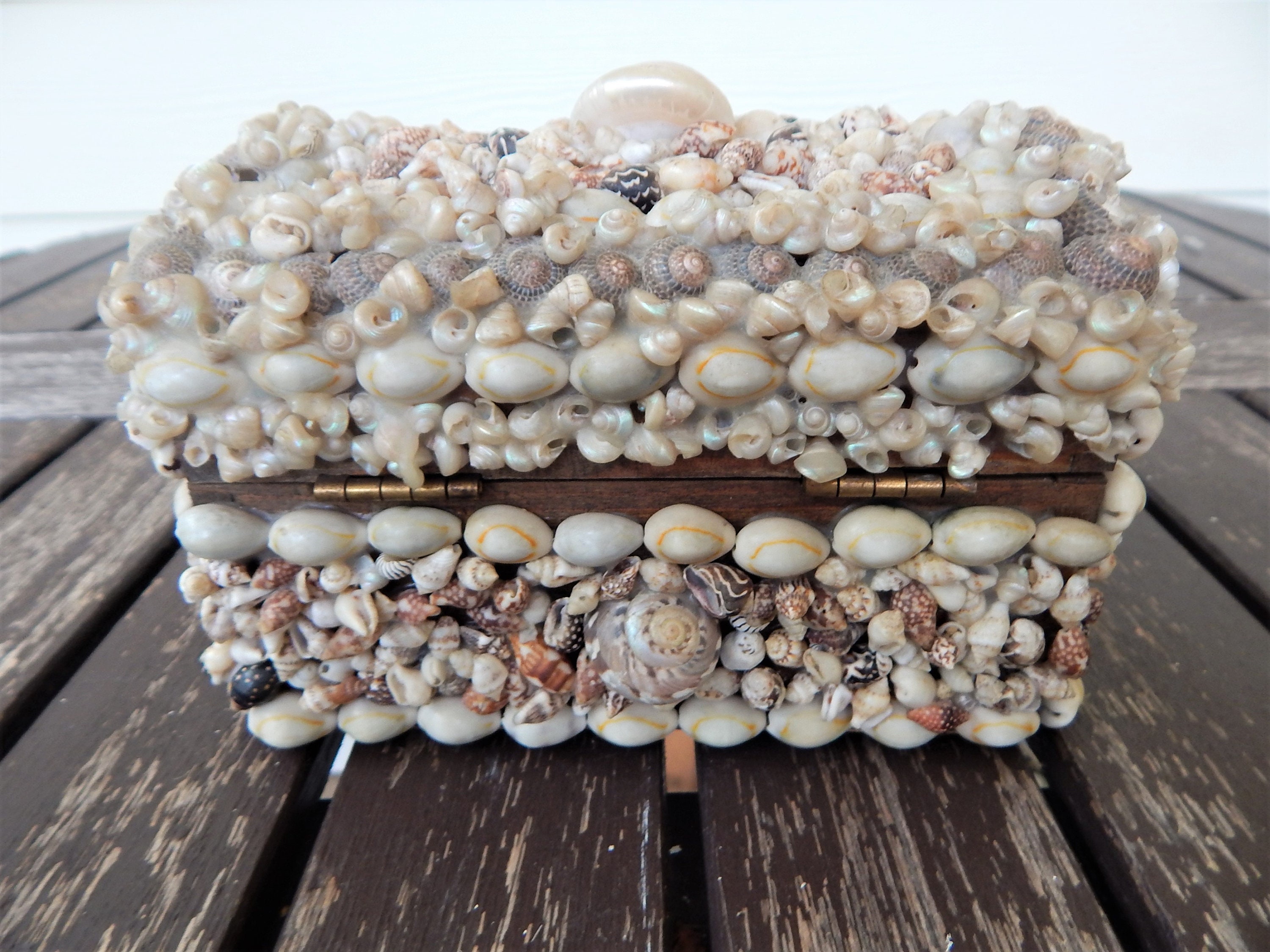 Antique Early 1900's Victorian Handmade Sea Shell Box - Etsy