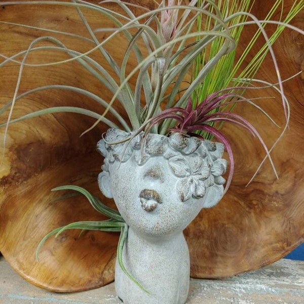 Head Planter - Etsy