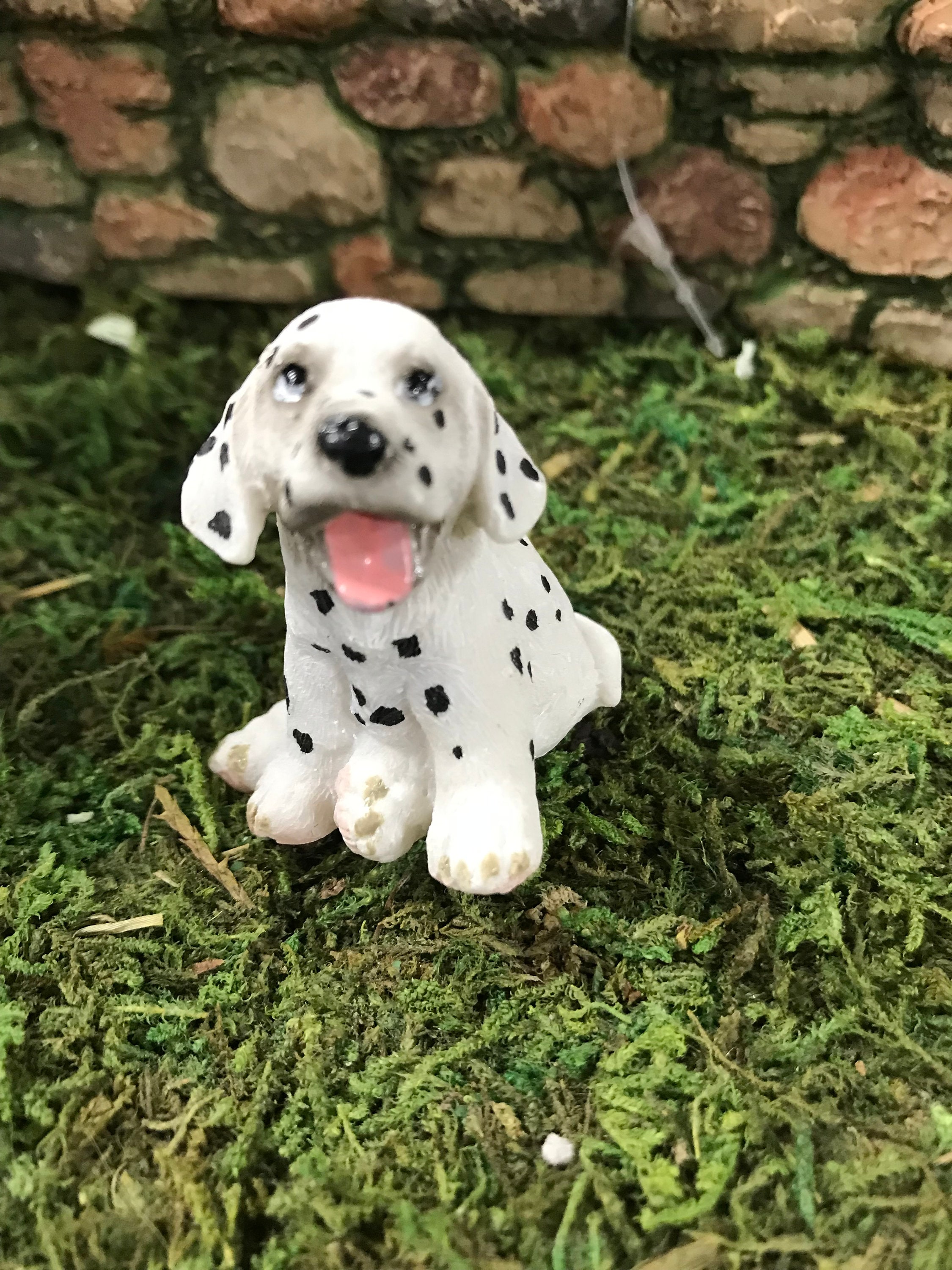 Miniature Dalmatian Puppy