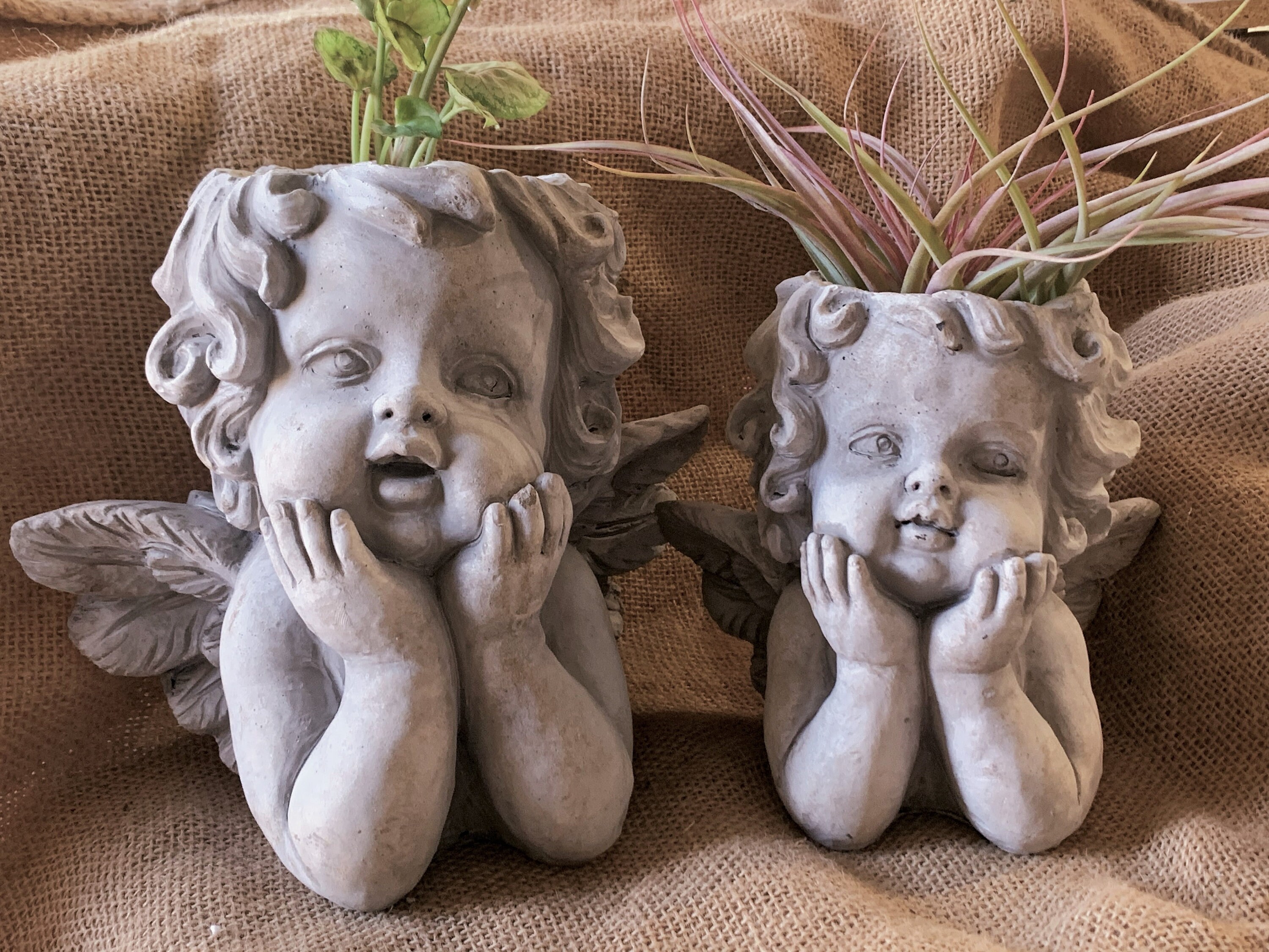 Angel Cherub PlanterCeramic Indoor Planters Home Décor etna.com.pe