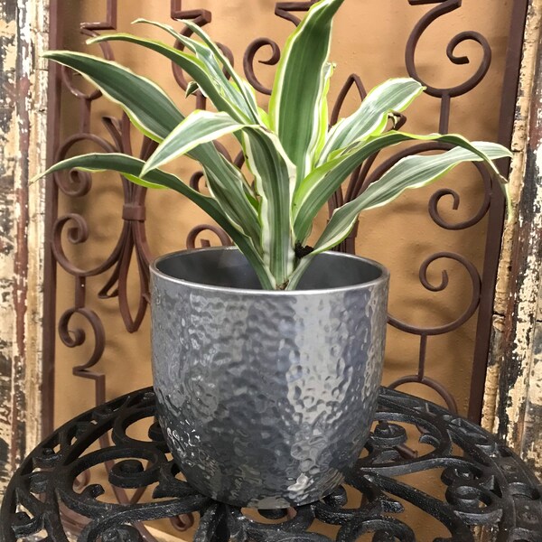 Silver Planter - Etsy
