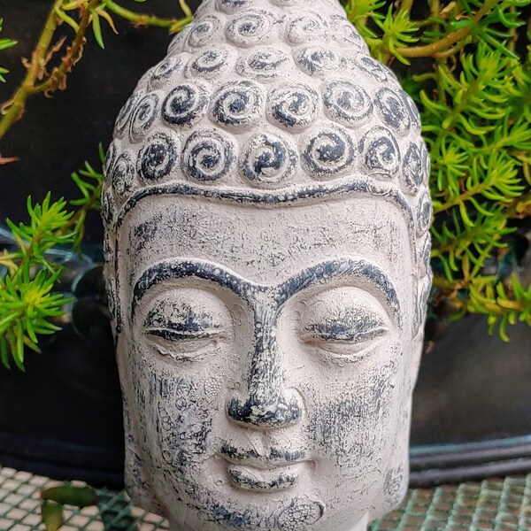 Concrete Buddha - Etsy