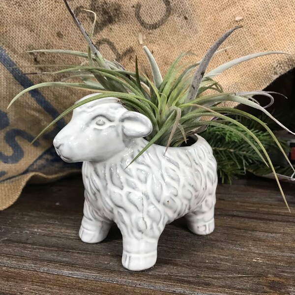 Sheep Planter - Etsy