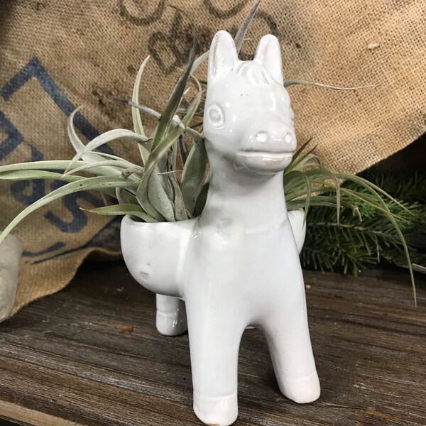 Donkey Planter - Etsy