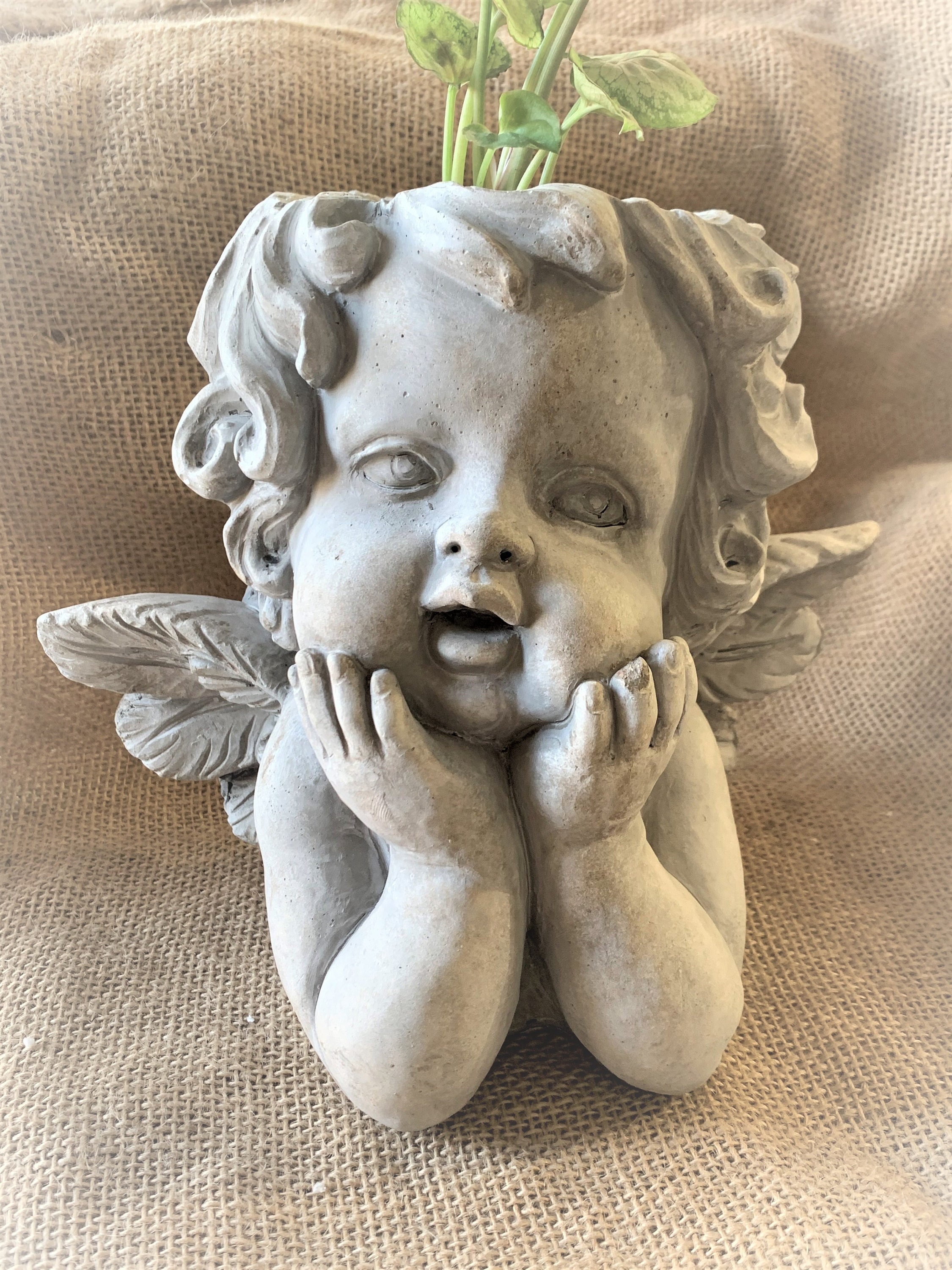 Cherub Angels Face Side