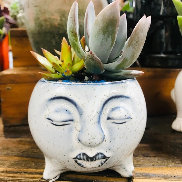 Face Pot - Etsy