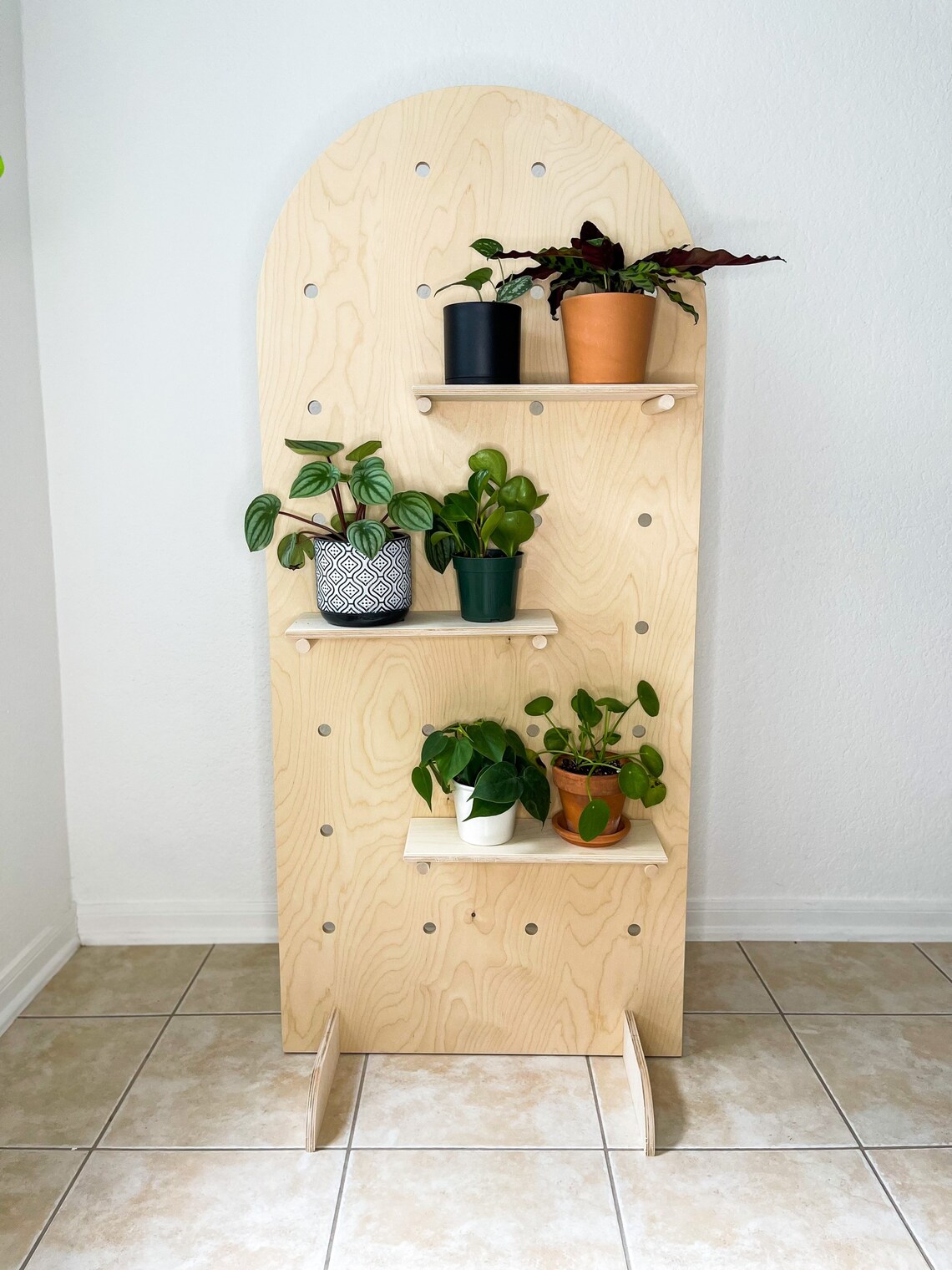 Curved Pop up Display Stand - Etsy