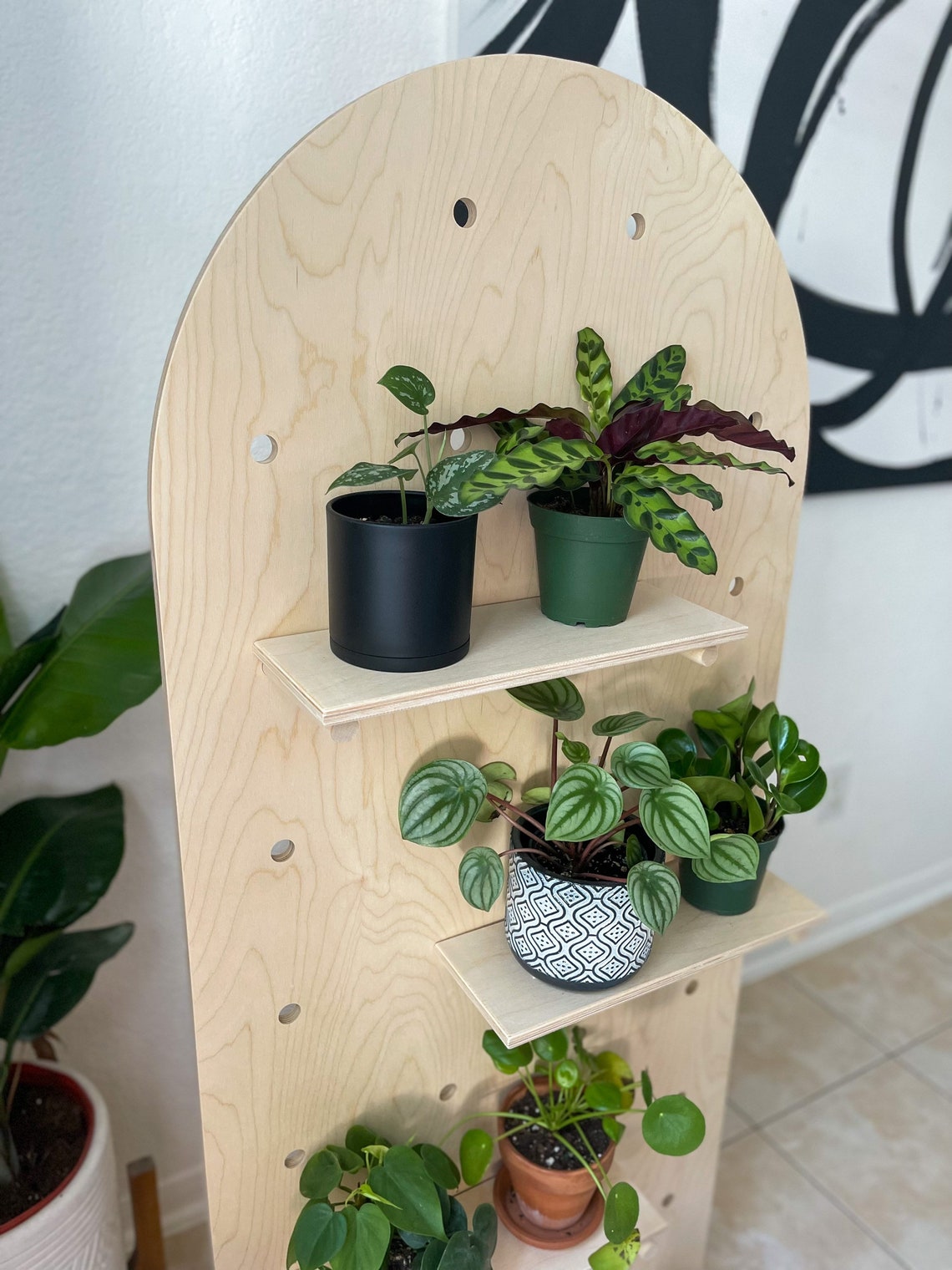 Curved Pop up Display Stand - Etsy