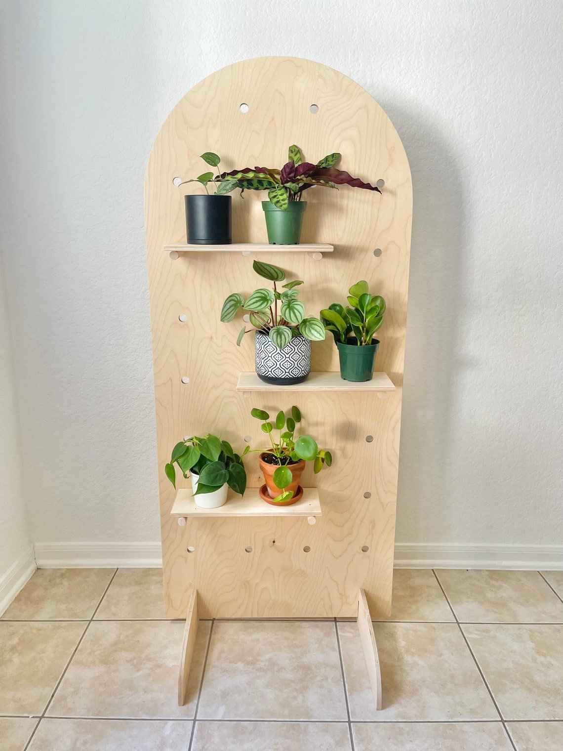 Curved Pop up Display Stand - Etsy