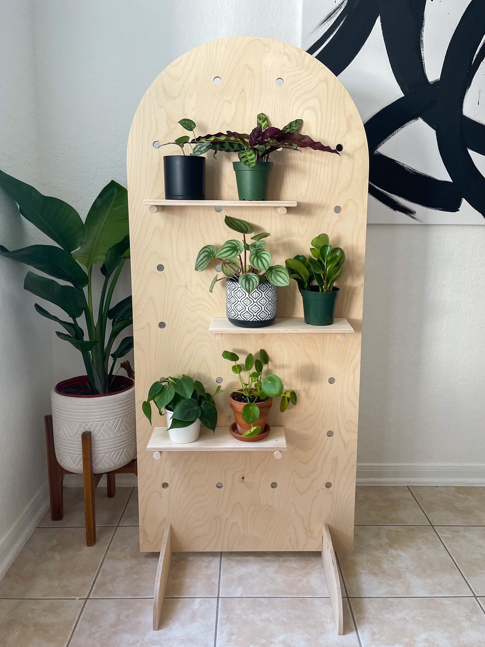 Curved Pop up Display Stand - Etsy