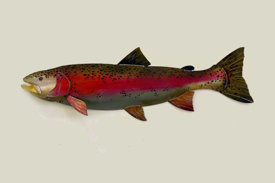 Rainbow Trout Metal Art Wall Sculpture in Stainless Steel - Etsy