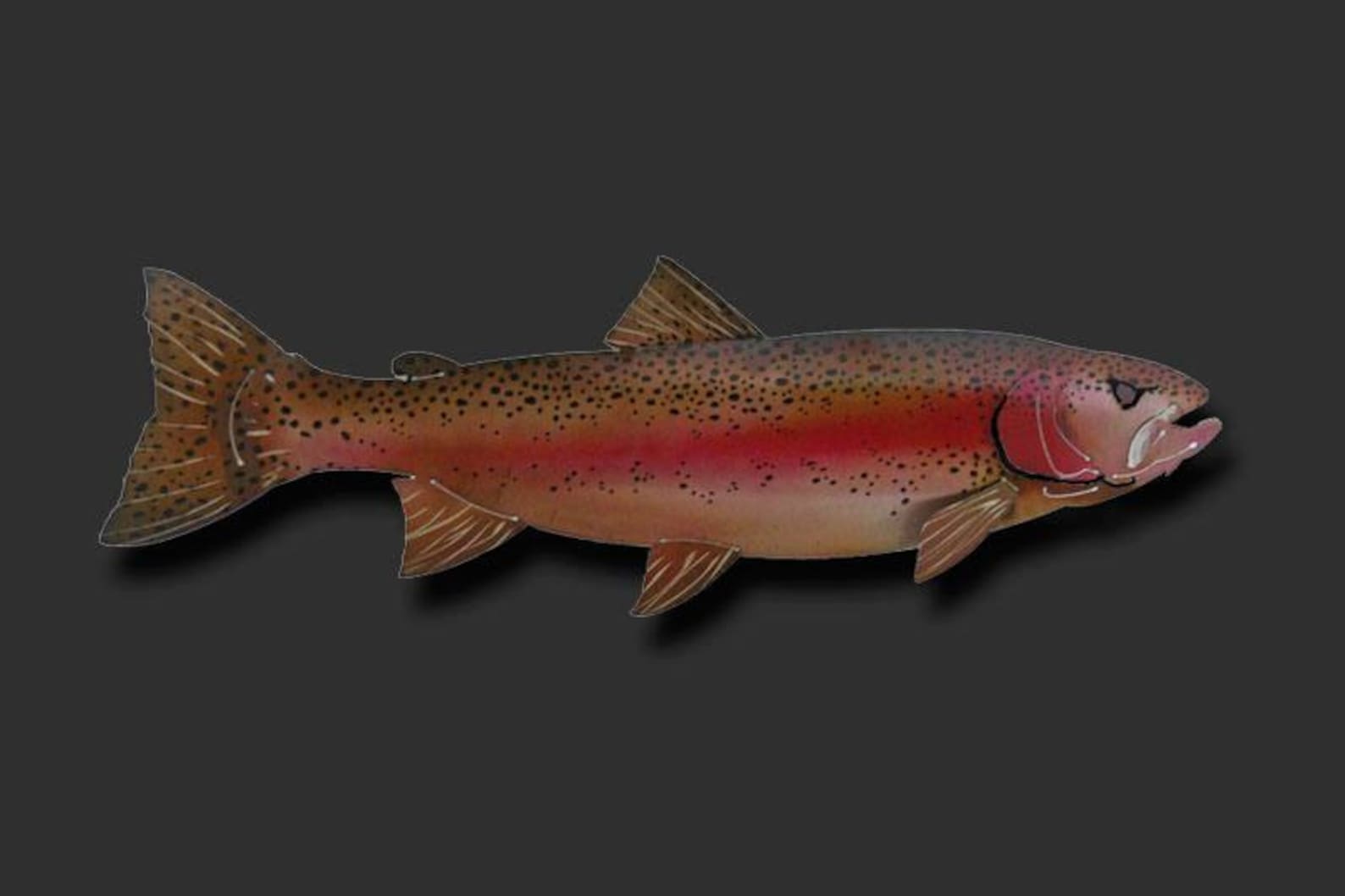 Rainbow Trout Metal Art Wall Sculpture in Stainless Steel - Etsy