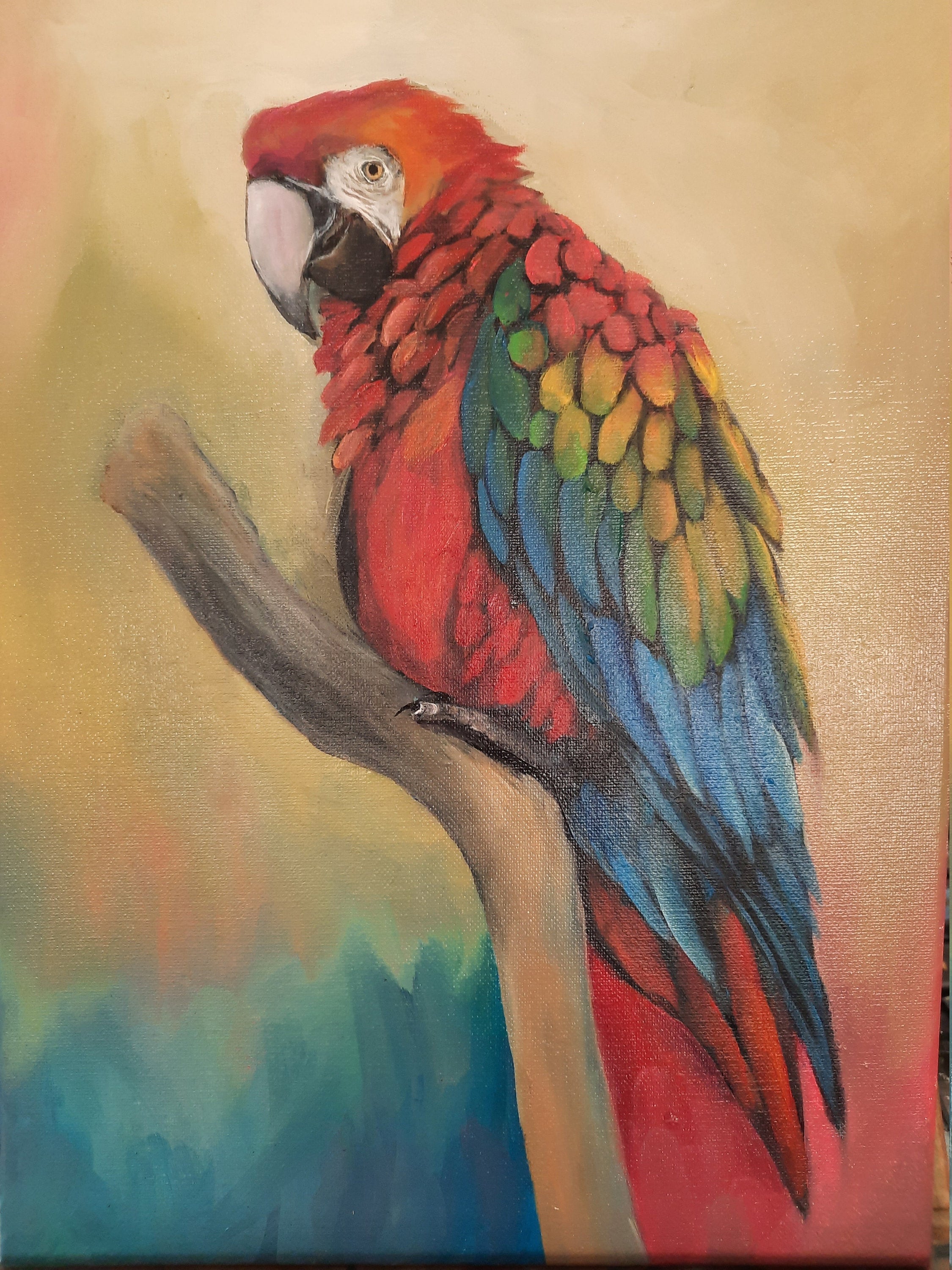 Pintura al óleo de loro de colores original no IMPRIMIR 12x18 - Etsy México