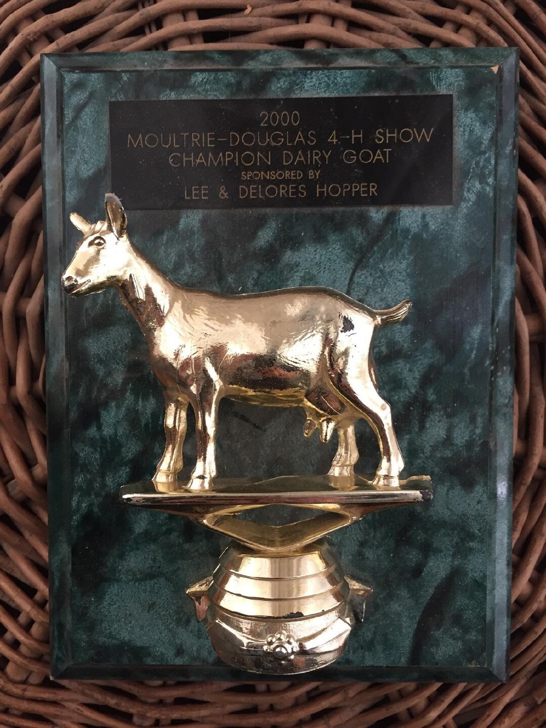 Champion Goat 4-H Plaque Award - Etsy